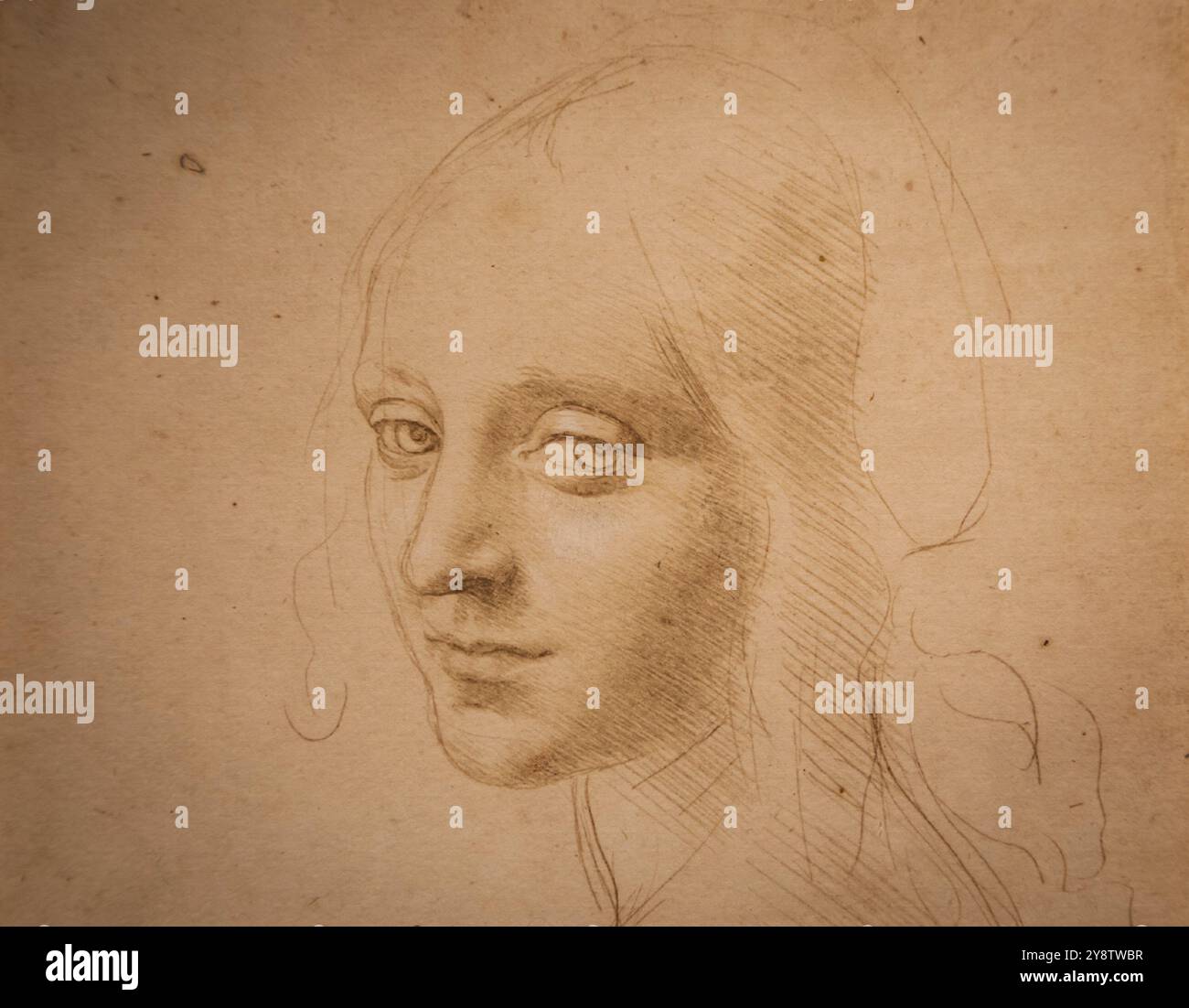 Royal library of turin hi-res stock photography and images - Alamy