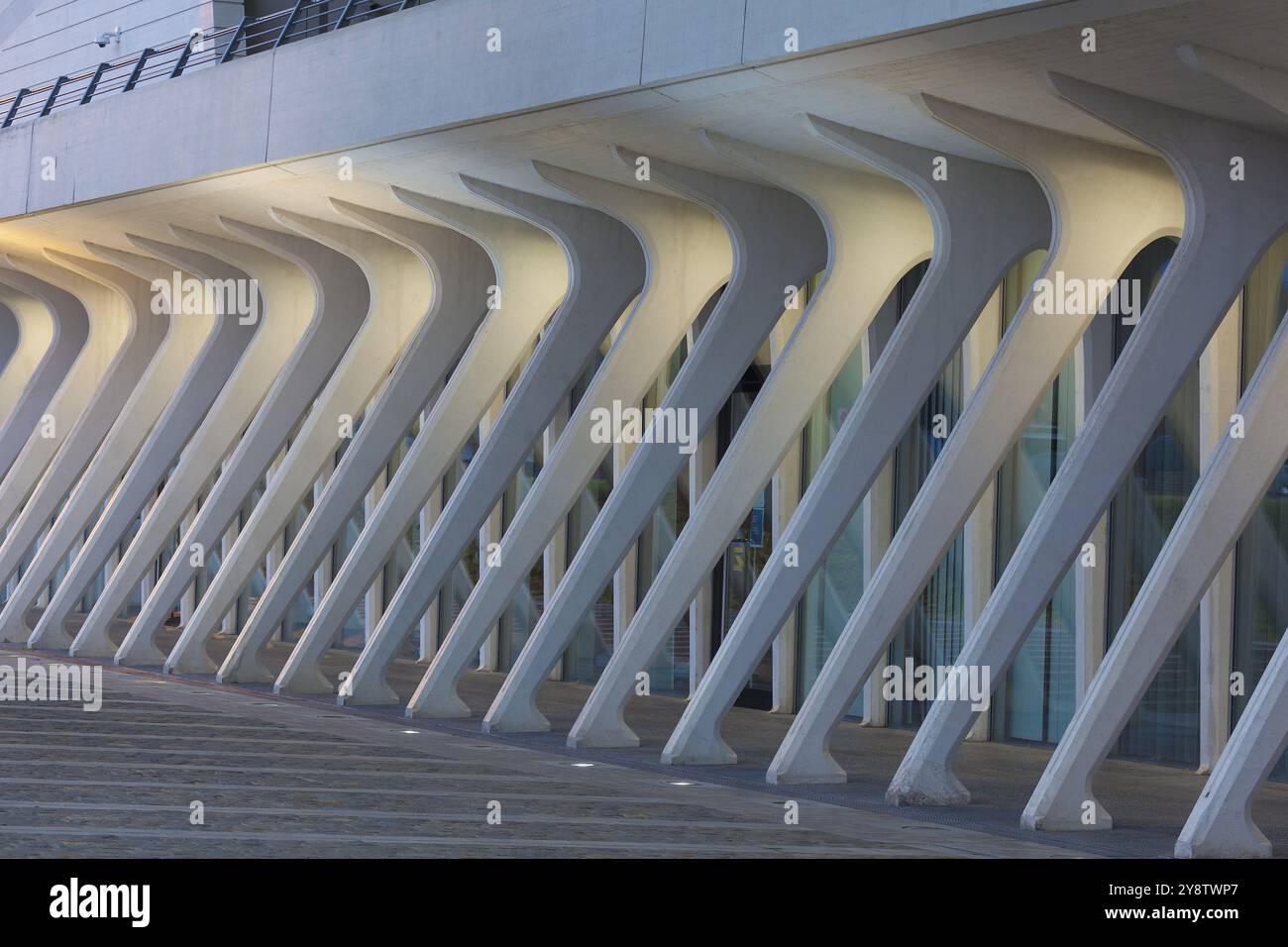 Liege-Guillemins train station by architect Santiago Calatrava, Liege ...