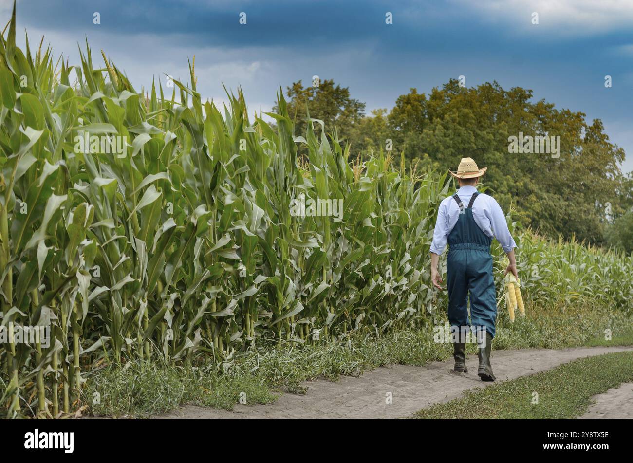 Middle aged farmer hi-res stock photography and images - Alamy