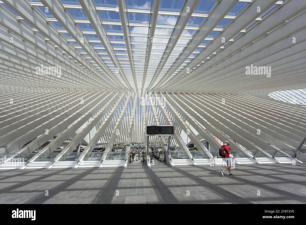 Liege-Guillemins train station by architect Santiago Calatrava, Liege ...