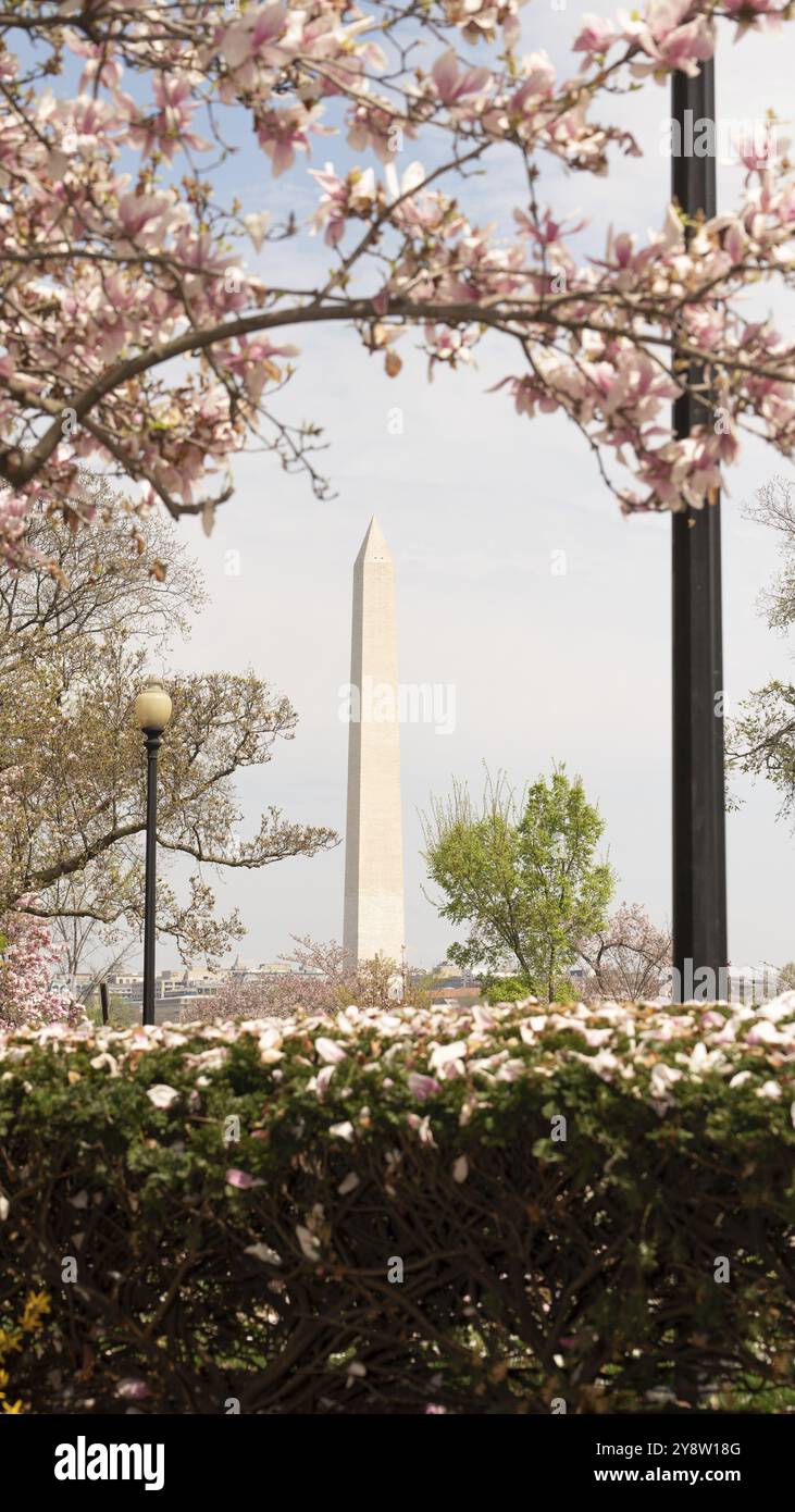 Opening in hedge hi-res stock photography and images - Alamy