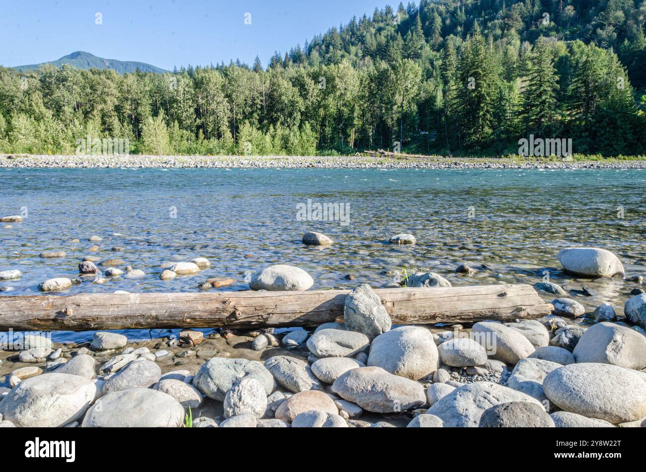 Mesmerizing view of the Vedder River winding through Chilliwack ...