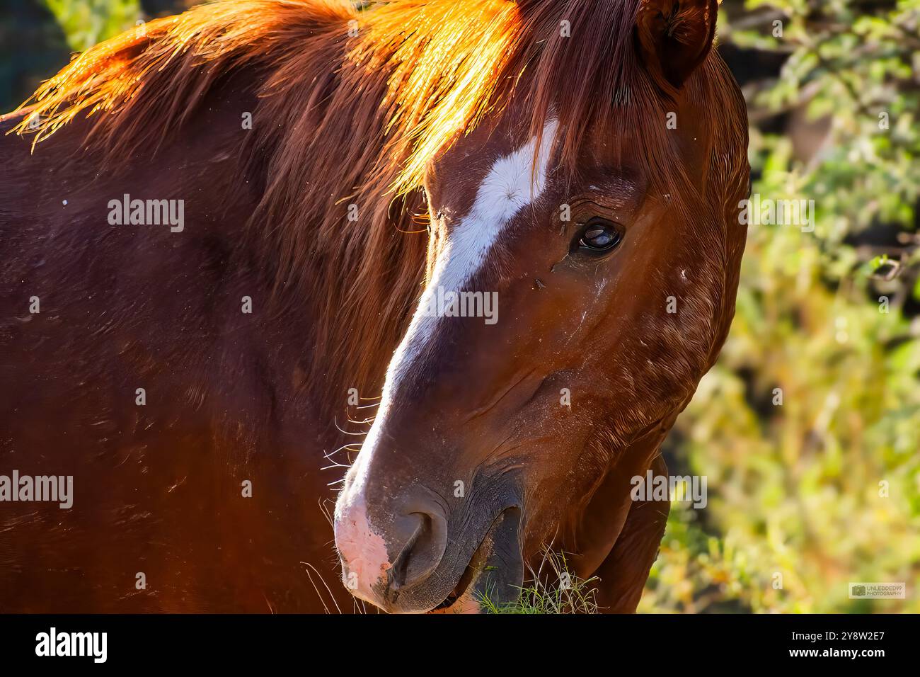 Taking A Look Back Stock Photo - Alamy