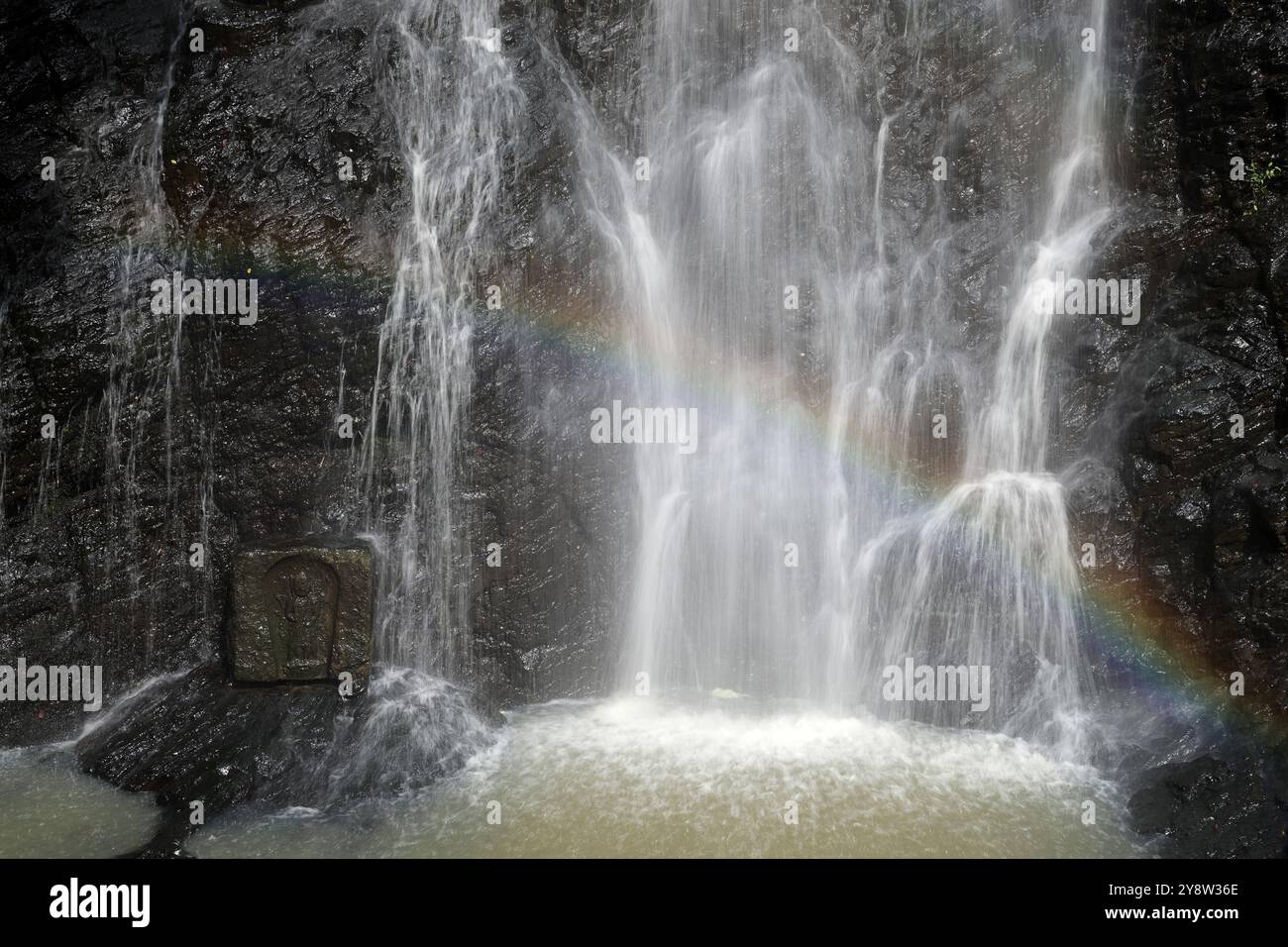 Natural spring drops fall in hi-res stock photography and images - Alamy