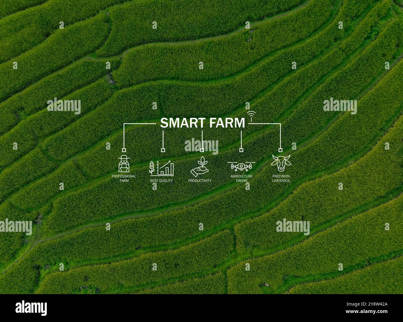 Smart farm technology meets agricultural expertise. Precision livestock ...