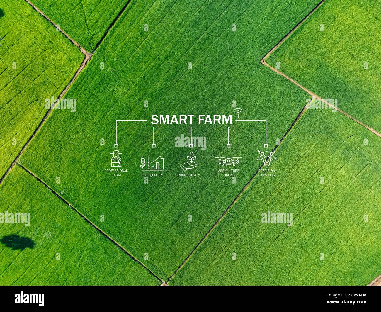 Smart farm technology meets agricultural expertise. Precision livestock ...