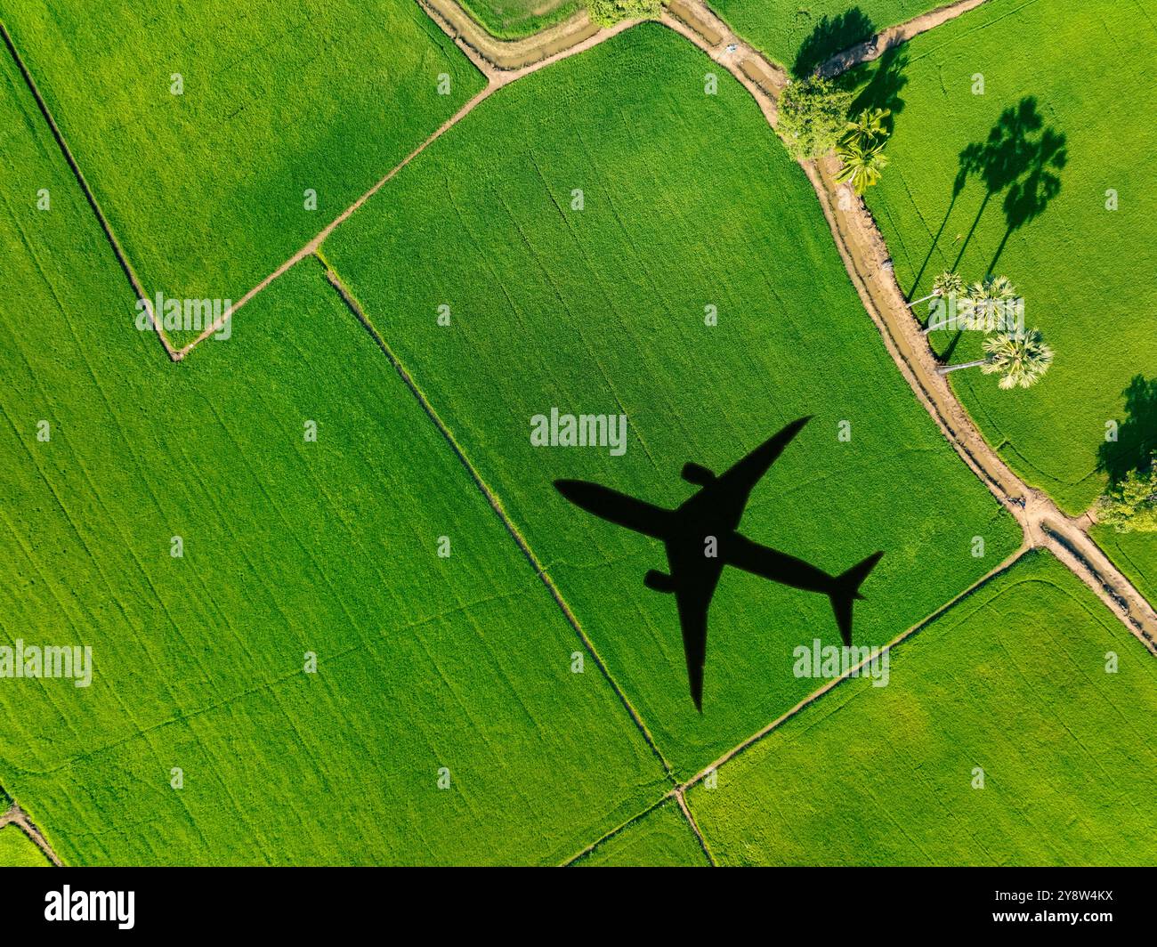 Shadow airplane flying above green field. Sustainable aviation fuel ...