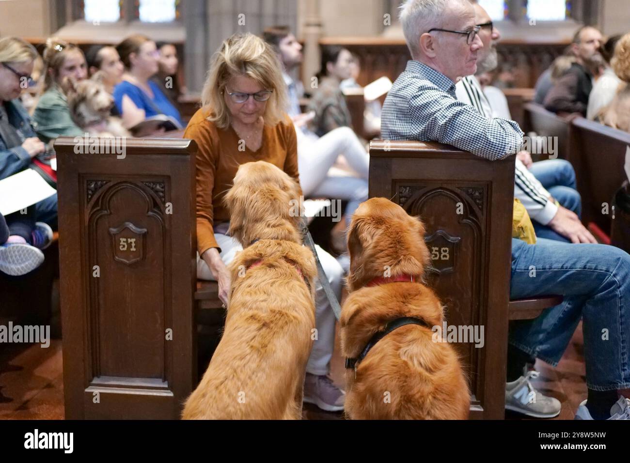 October 6, 2024, New York, New York, USA: Paying homage to St. Francis ...