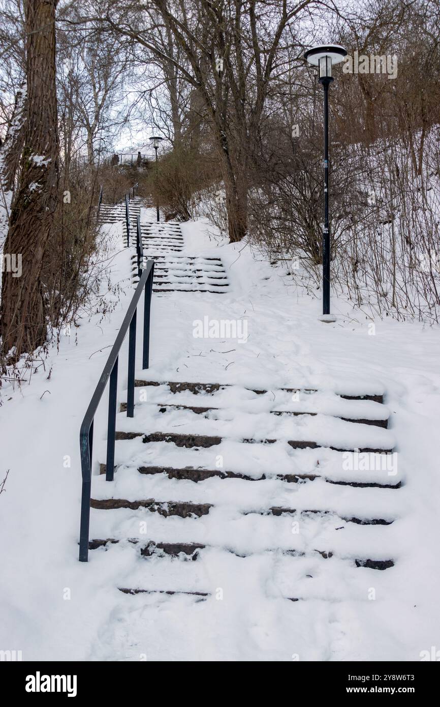 Snowy stairs in the city forest park Stock Photo - Alamy