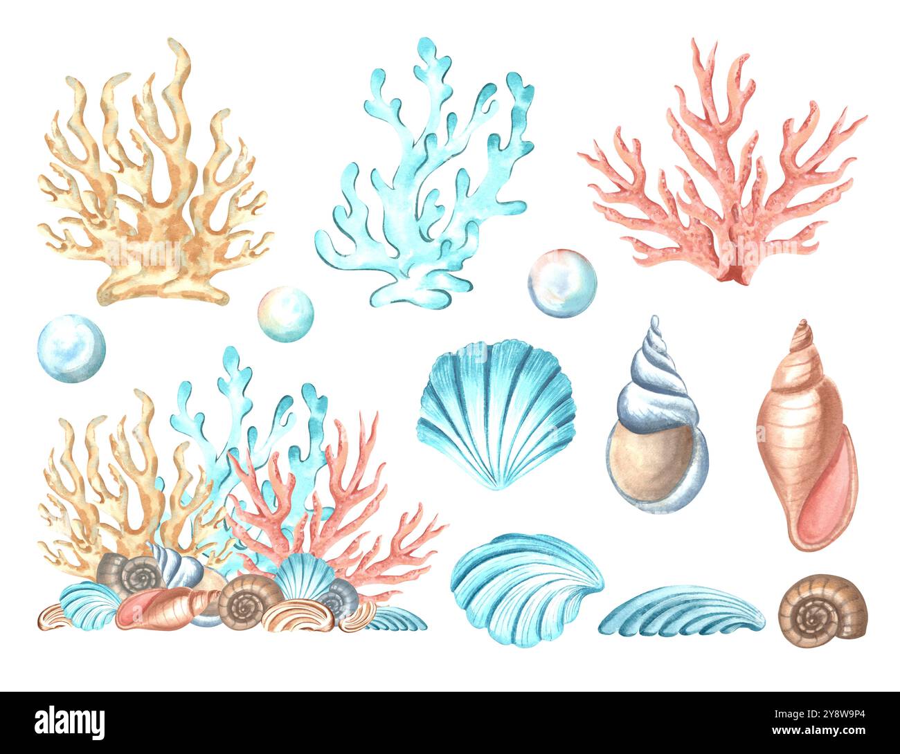Corals and seashells underwater decor collection. Set of watercolor ...