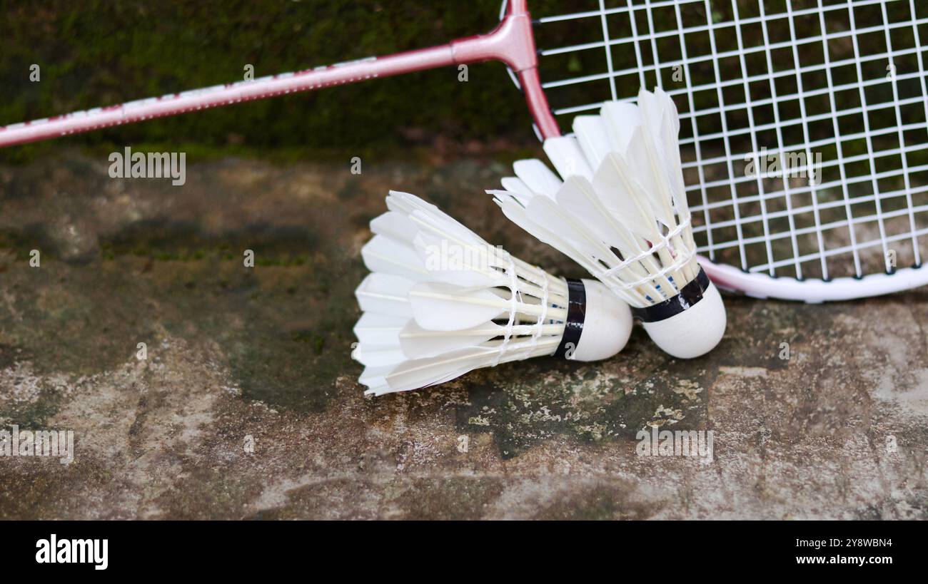 White badminton shuttlecocks and badminton rackets on dark background ...
