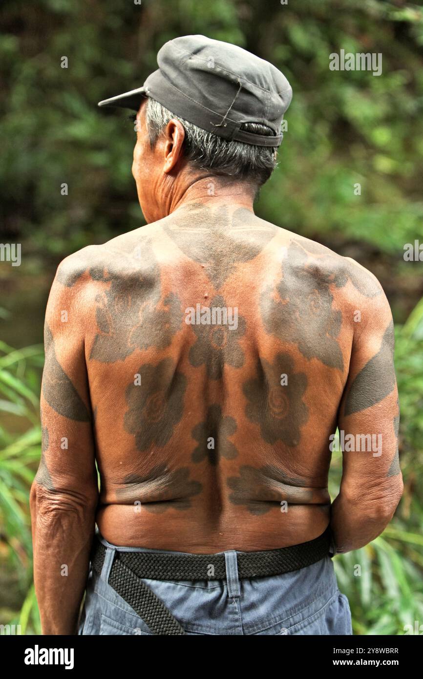 Back portrait of Ramping, a member of the traditional Dayak Iban ...