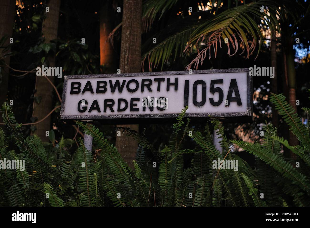 Vintage illuminated sign seen by day in the garden boarder of Babworth ...