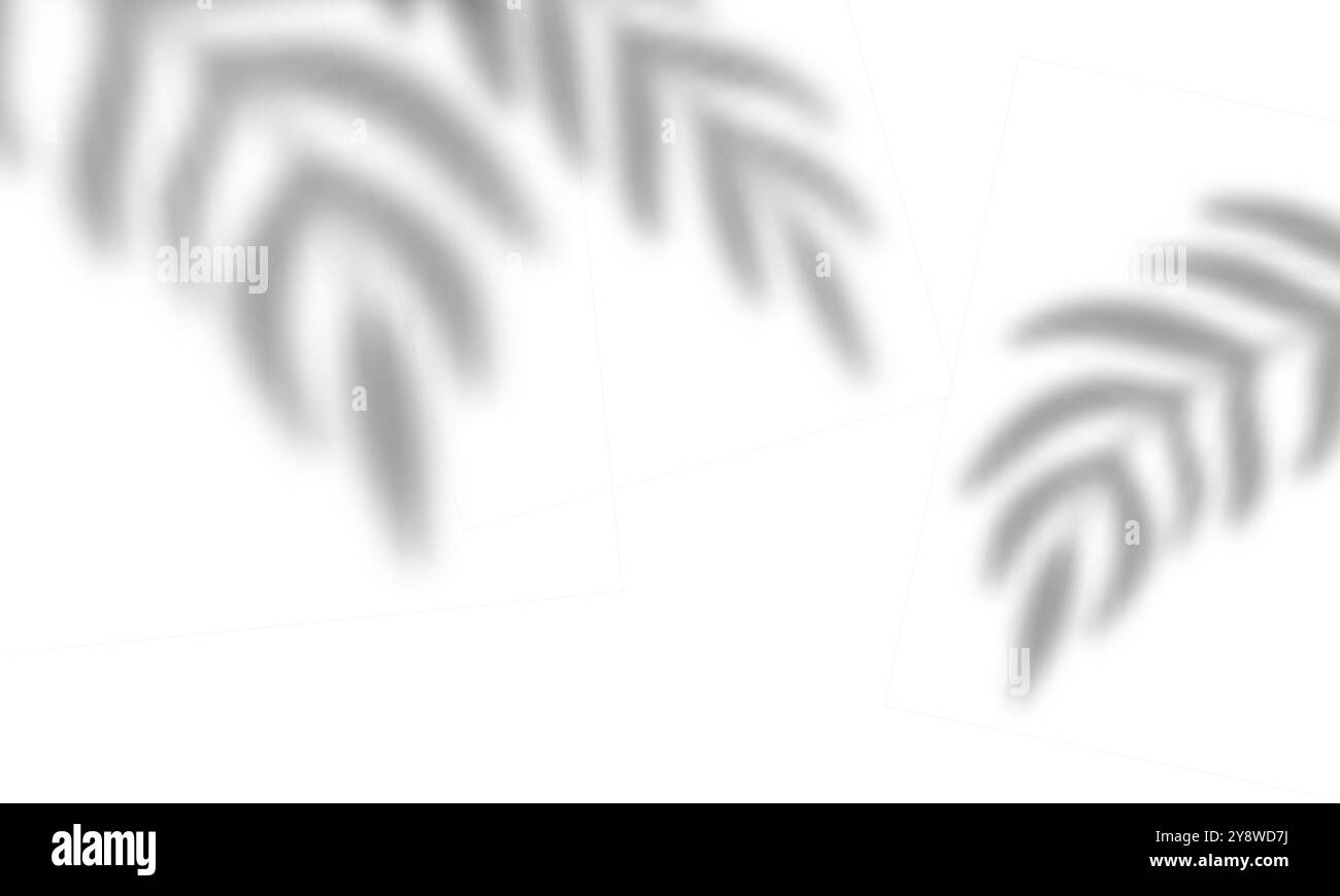 Transparent realistic floral shadow overlay effect Stock Vector Image ...