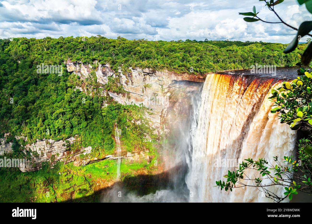 Kaieteur Falls in Amazon rainforest of Guyana, South America. One of the highest and most ...