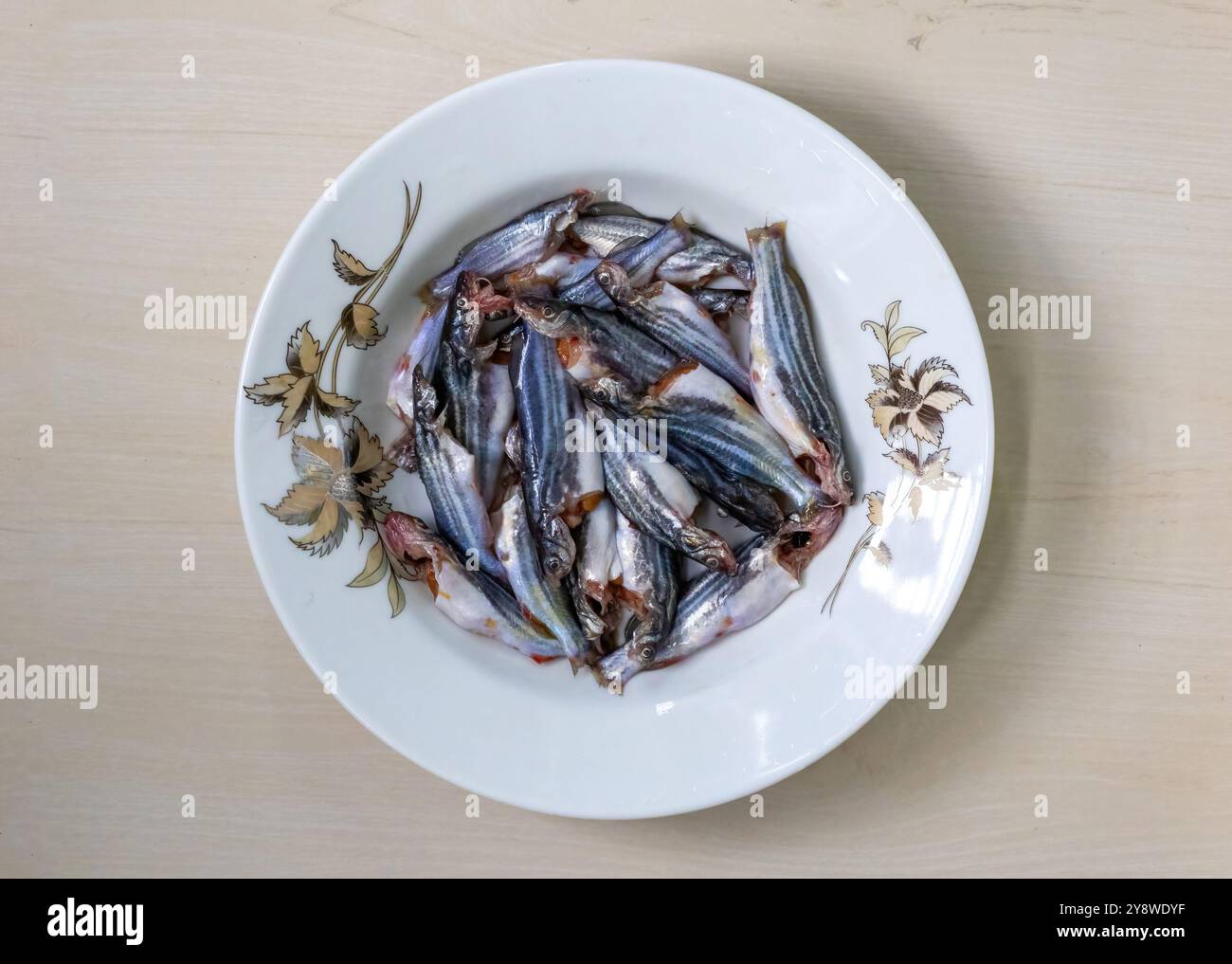 Uncooked tengra fish, also known as Gangetic Mystus or Mystus Tengara ...