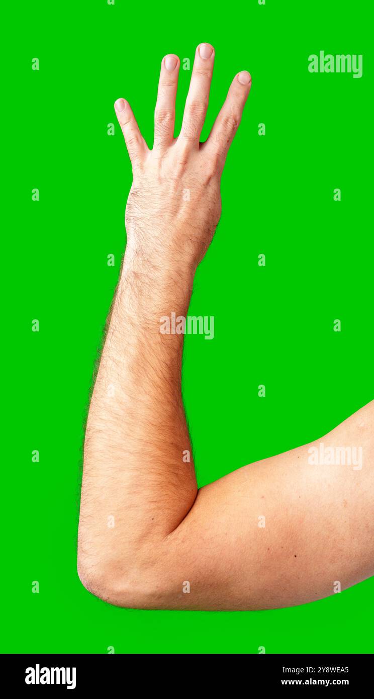 human arm gesturing with raised fingers against a bright green backdrop ...