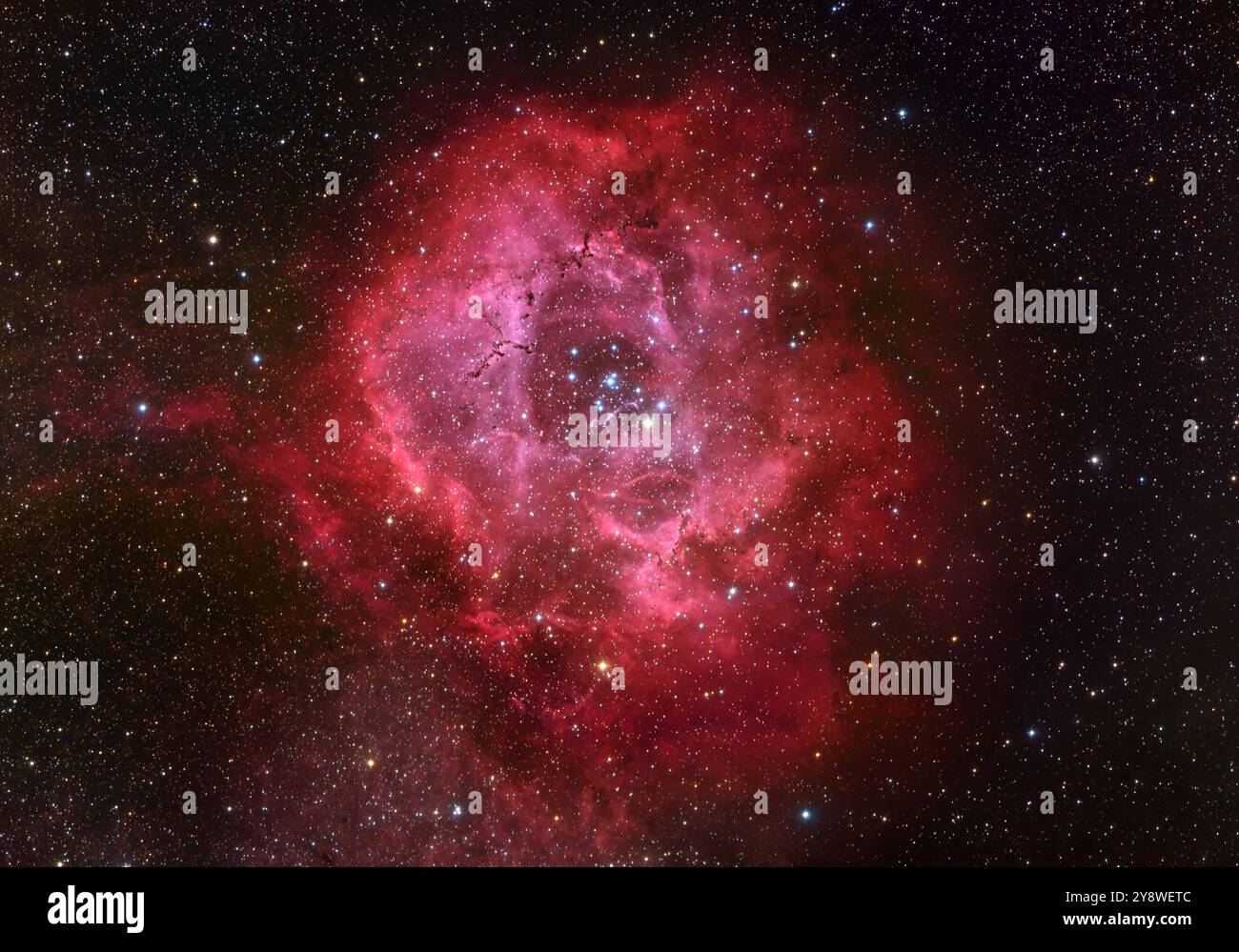 Rosette Nebula in constellation Monoceros. Universe science astronomy ...