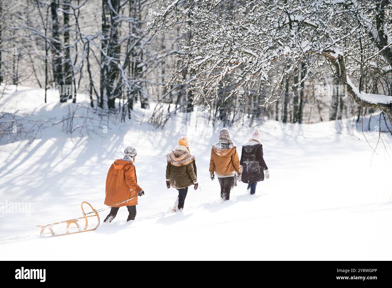 Group of friends pulling sleds behind them, going to sleddingin in ...