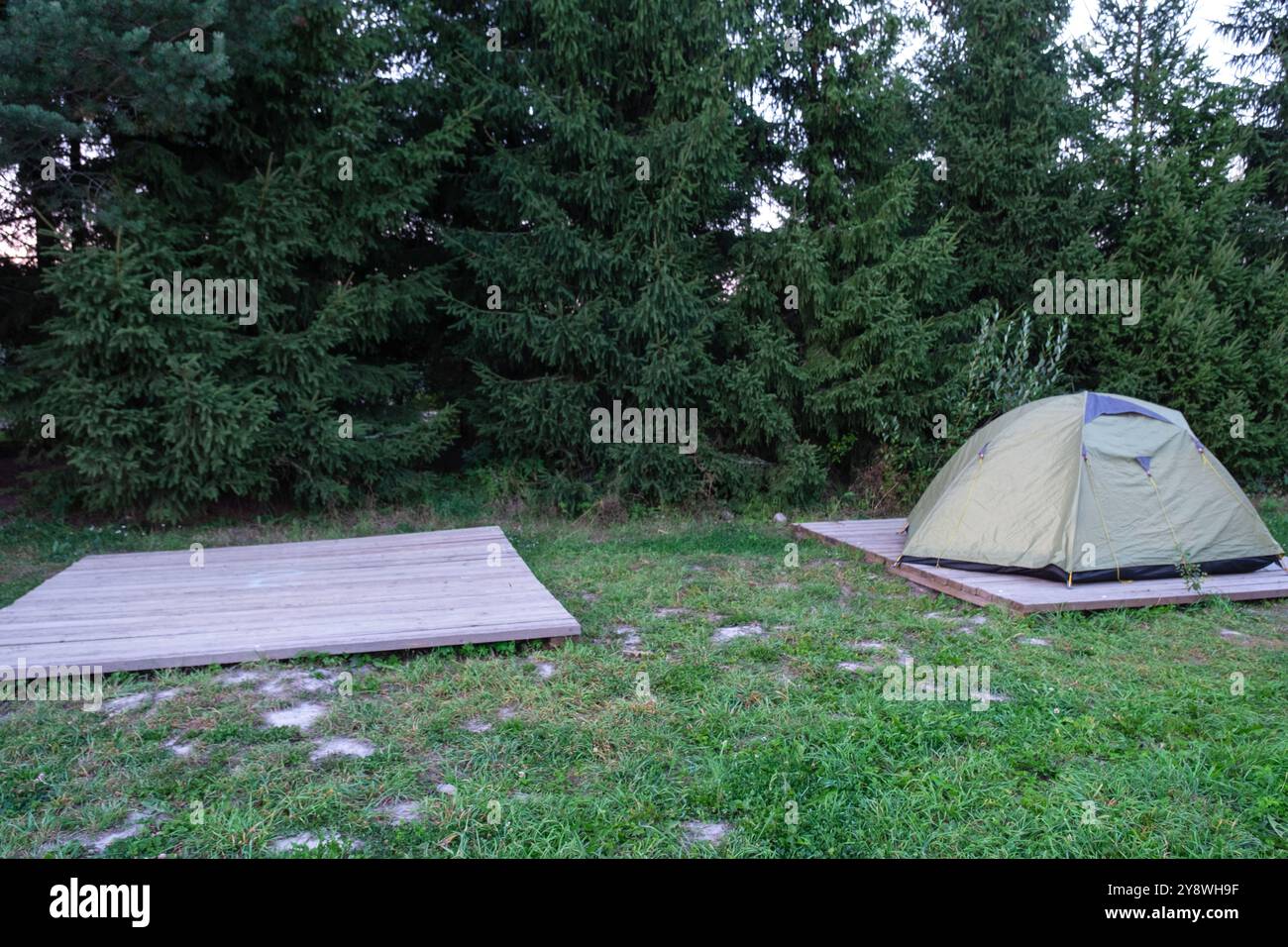 Installed tourist tent in a camping in nature in the forest. Domestic ...