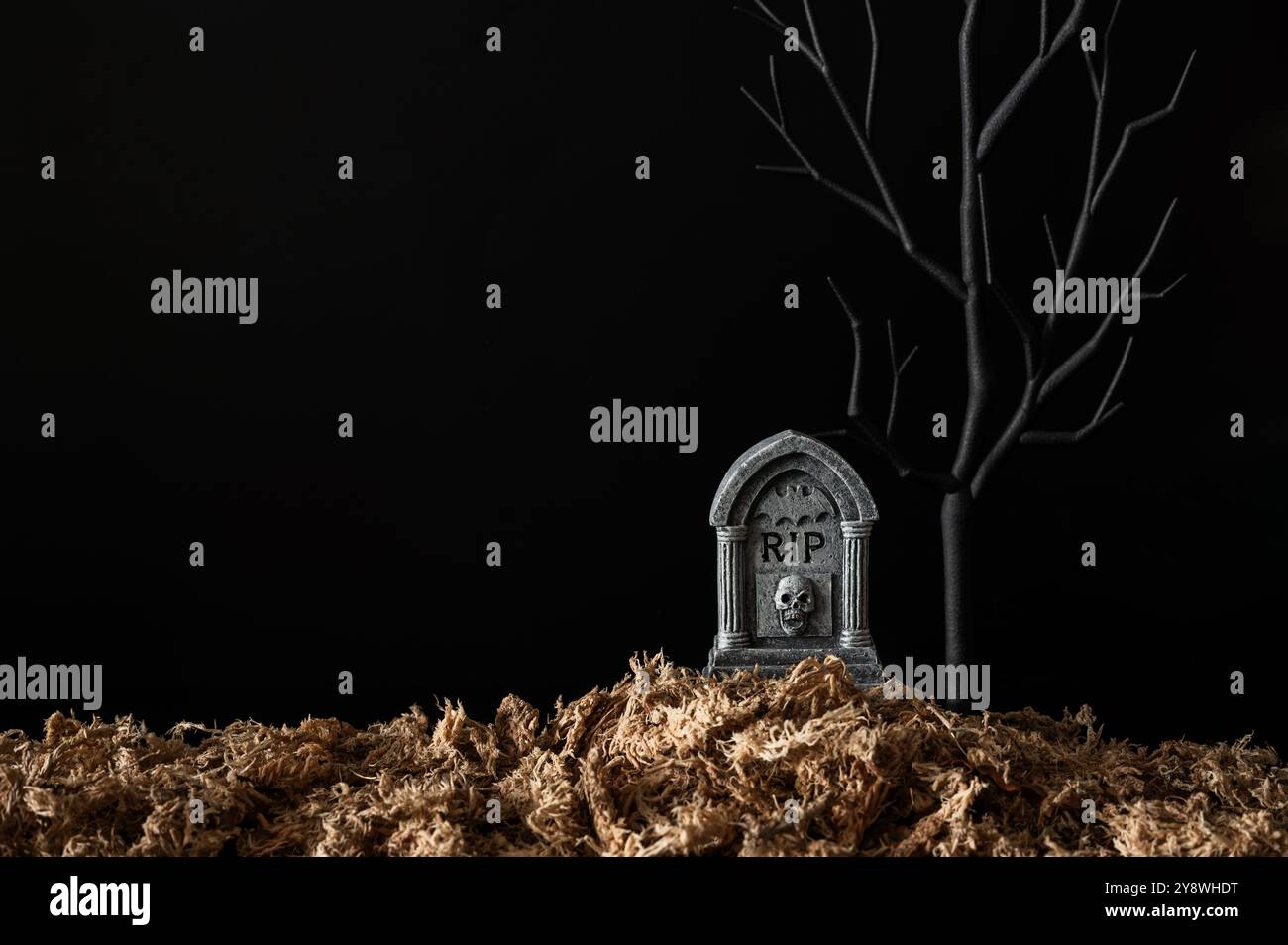Halloween background with tombstone that have black tree with dried ...