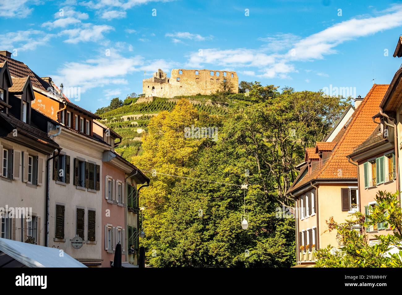 Cityscape of Staufen im Breisgau with the historical castle and city ...