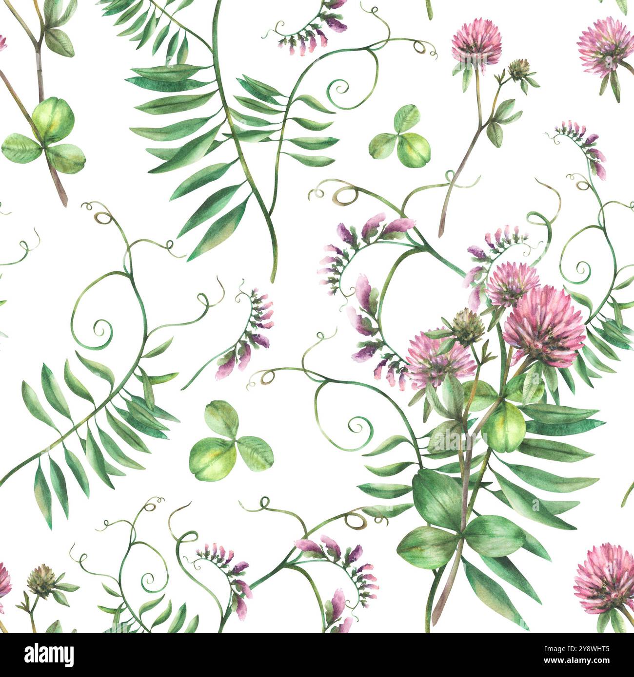 Wild grasses wildflowers summer Cut Out Stock Images & Pictures - Alamy