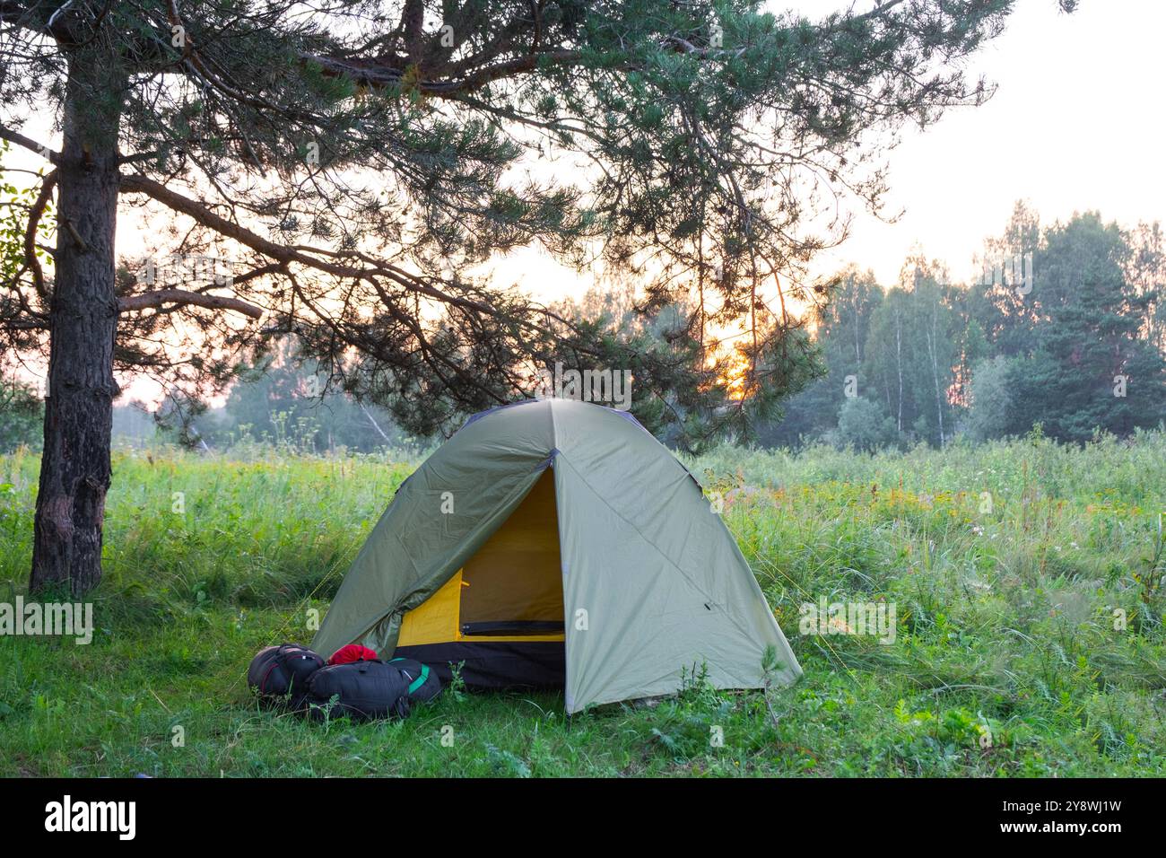 Installed tourist tent in a camping in nature in the forest. Domestic ...