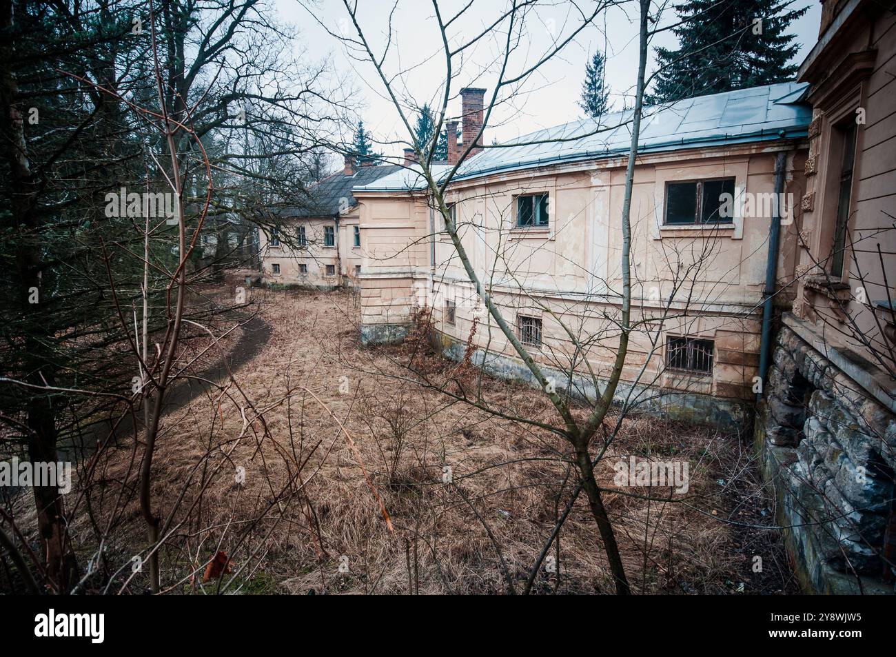 Abandoned Serenity: Nature Reclaims a Forgotten Asylum Stock Photo - Alamy