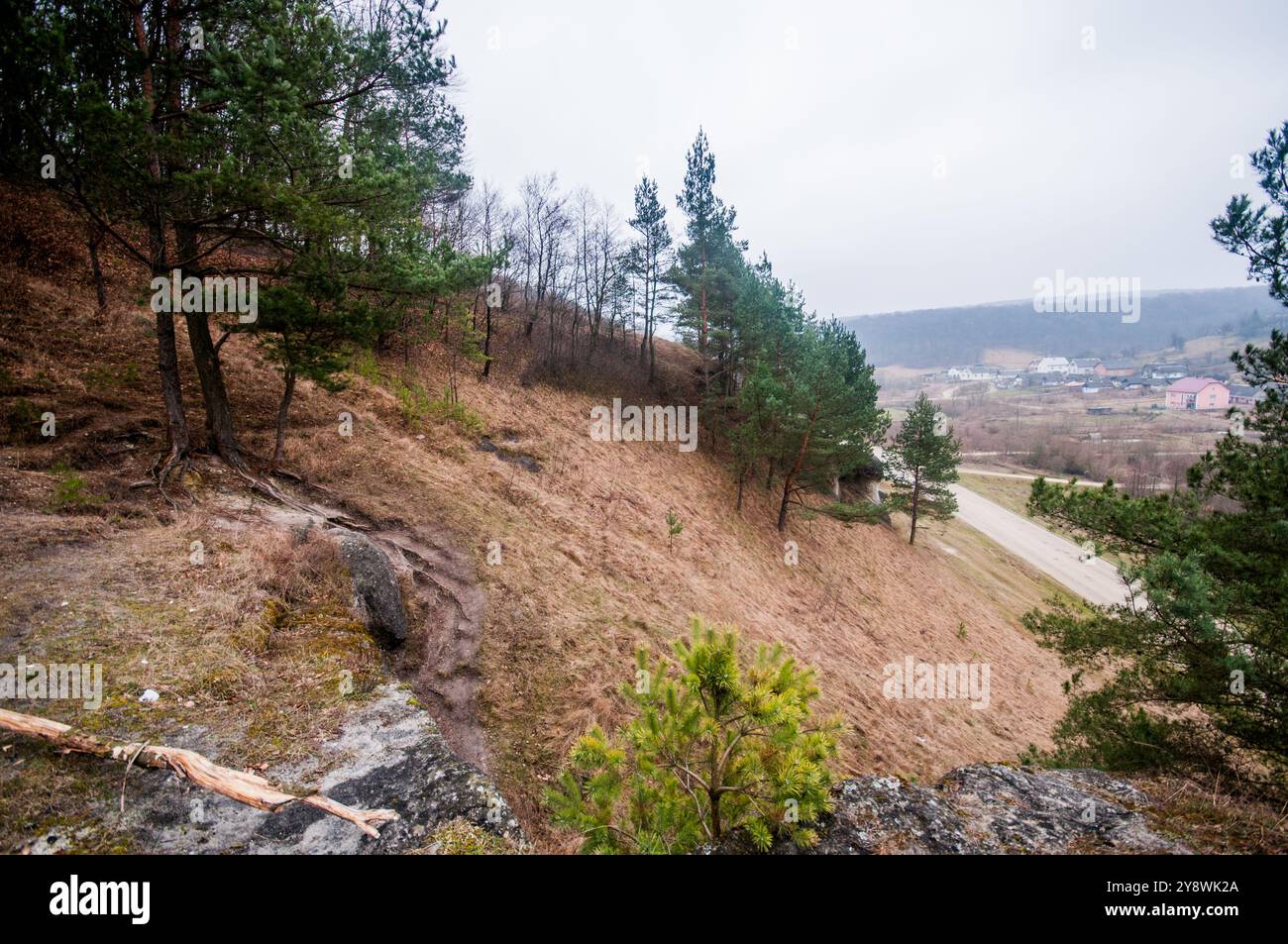 Serene Hillside Landscape with Gentle Slopes and Sparse Vegetation ...