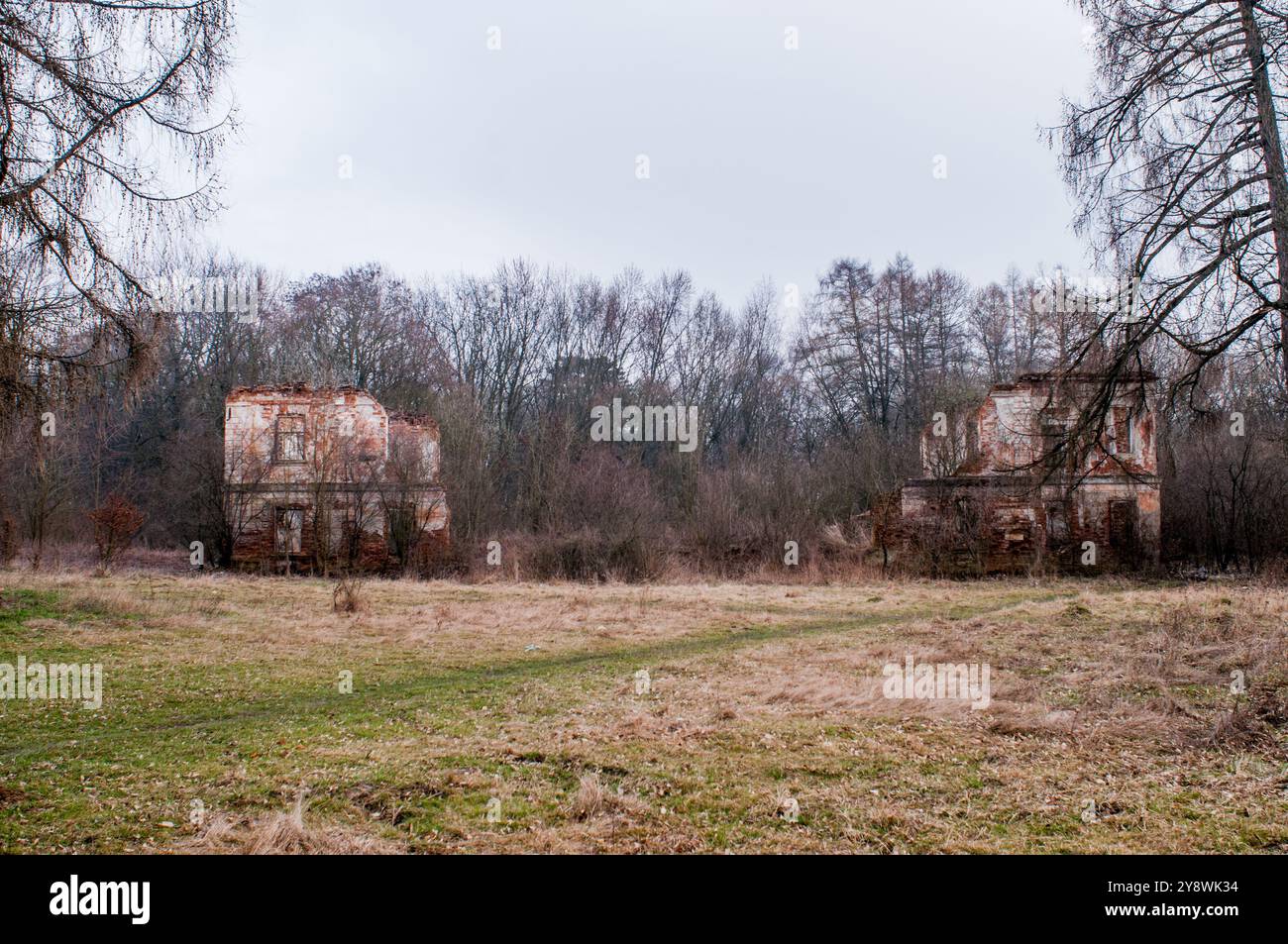 Haunted Beauty of Abandoned Ruins Embraced by Nature's Reclamation ...