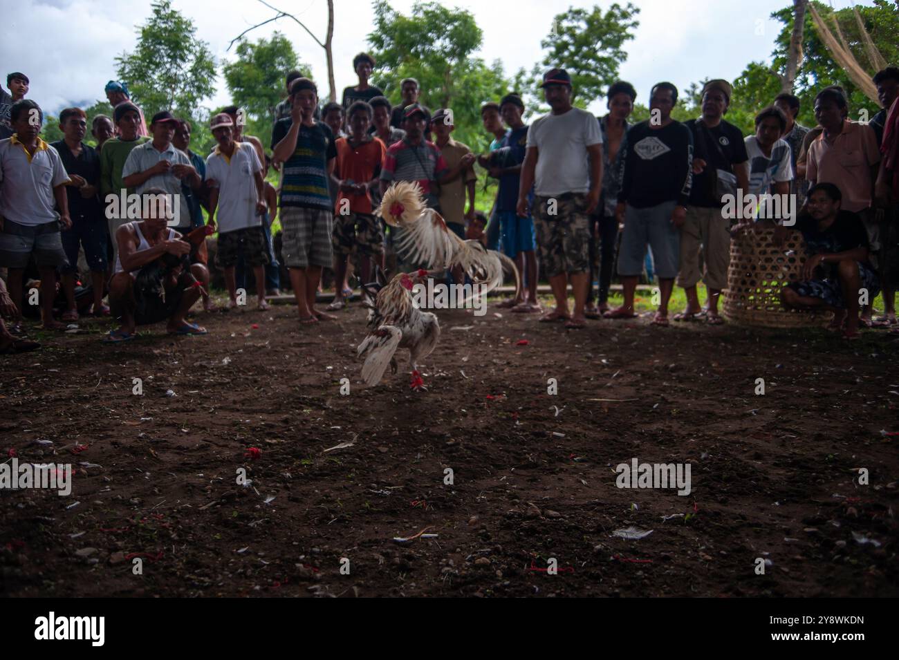 Sutanta aditya hi-res stock photography and images - Alamy