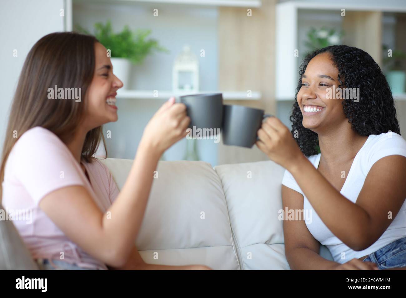Happy interracial roommates toasting talking sitting on a couch at home ...