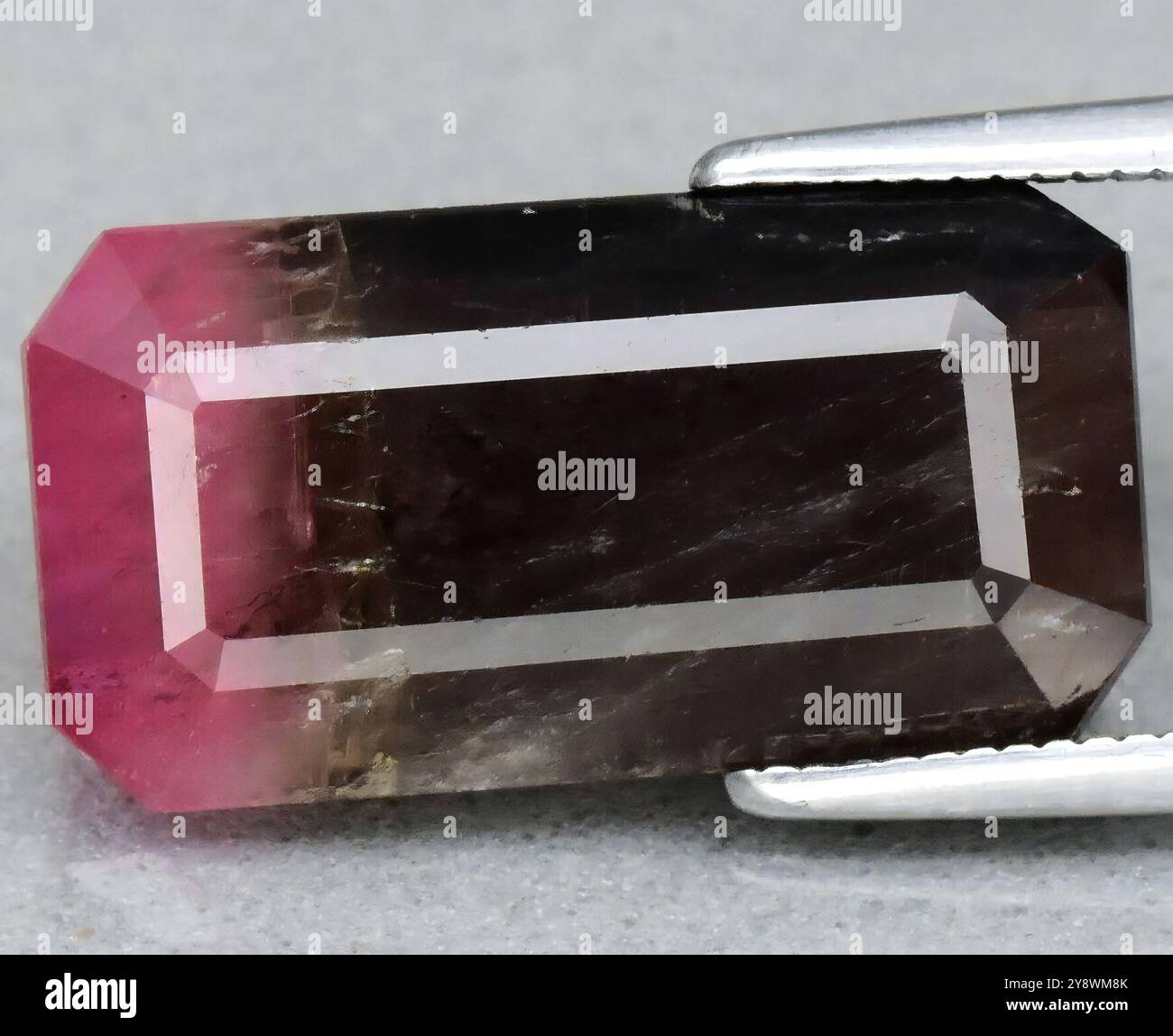 Elongated specimen showcasing hi-res stock photography and images - Alamy