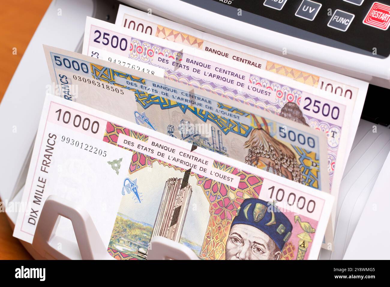 West African CFA money - franc in the counting machine Stock Photo - Alamy