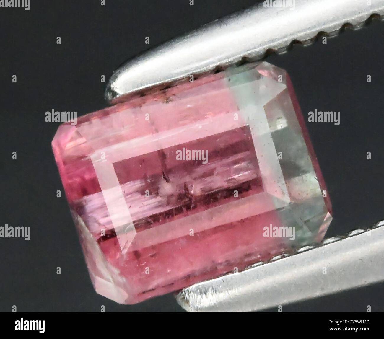 Stunning Multicolored Tourmaline Gemstone Captured in Precision Capture ...