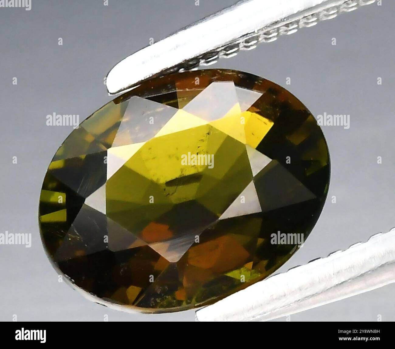 Radiant Olive-Leaf Gemstone Reflecting Nature's Bounty Stock Photo - Alamy
