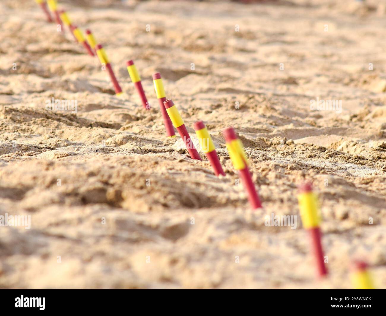 Flags event at surf lifesaving competition Stock Photo - Alamy