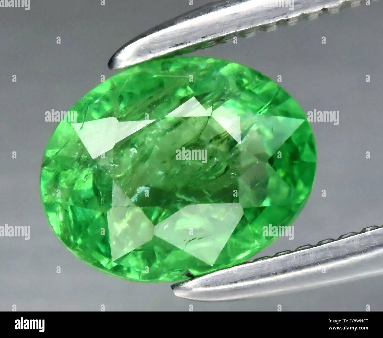 Exquisite Radiant Green Gemstone Captured in Elegant Precision Stock ...