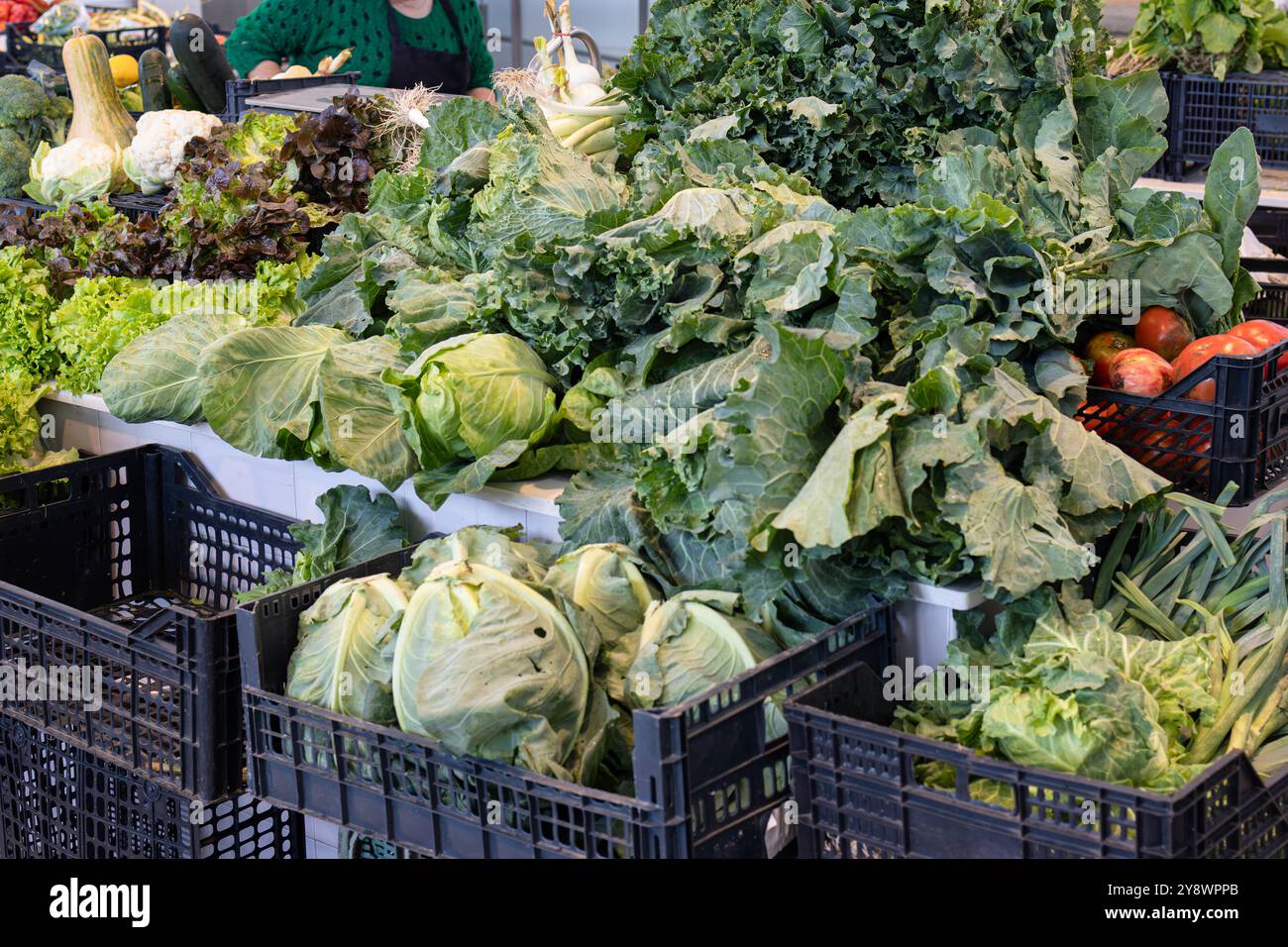 Crates full of fresh green vegetables, cabbage and lettuce, on display ...