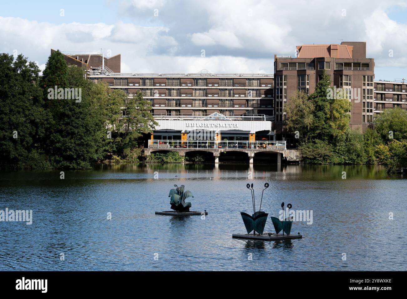 Brightsmith hi-res stock photography and images - Alamy