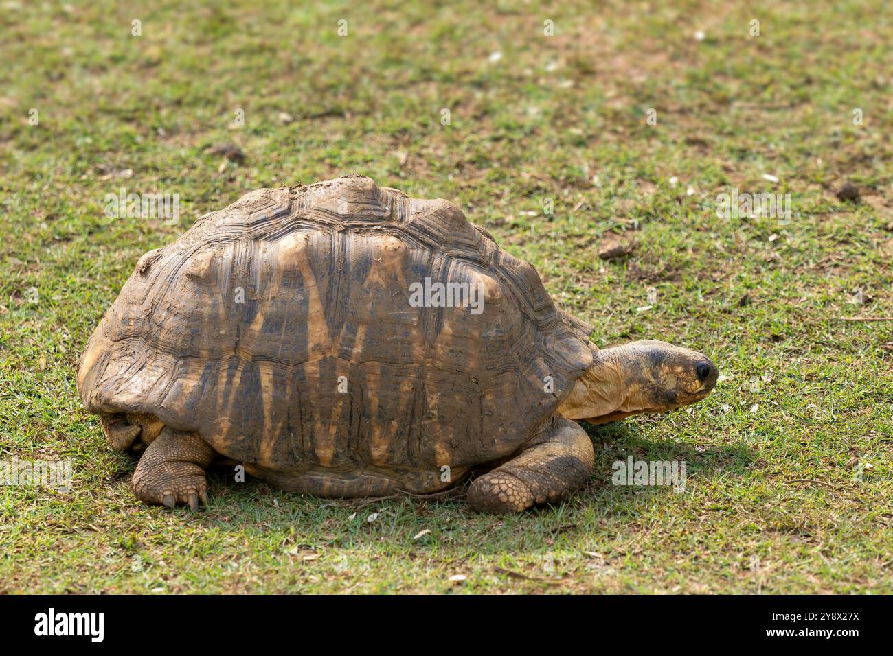 Indian ocean icelands hi-res stock photography and images - Alamy