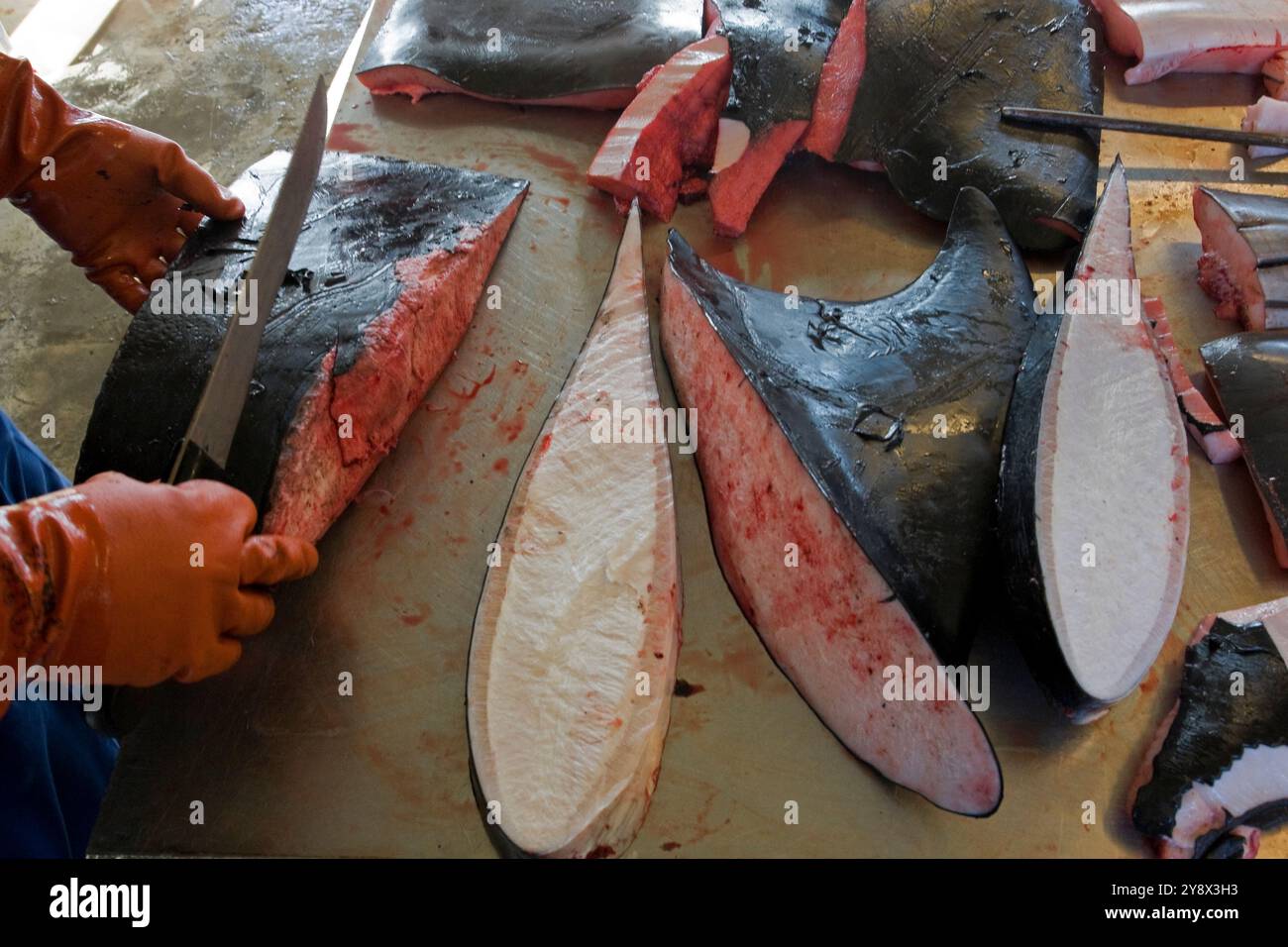 Minke whale sale in Fish Market in Qaqortoq, Greenland Stock Photo - Alamy