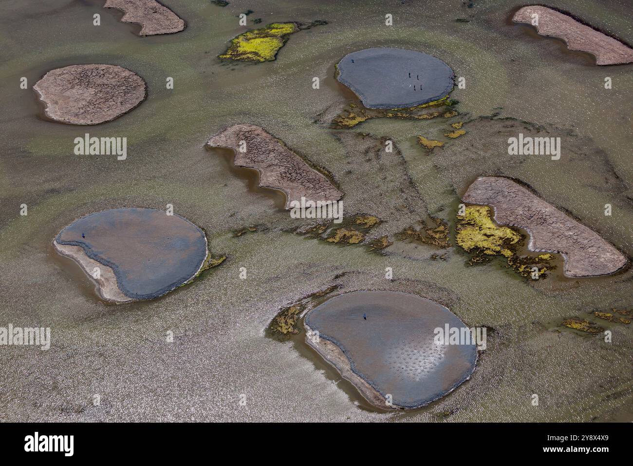 Artificial nesting islands hi-res stock photography and images - Alamy