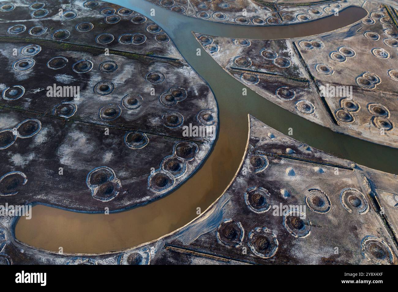 Sears Point Tidal Wetland Restoration, near Novato, California, USA ...