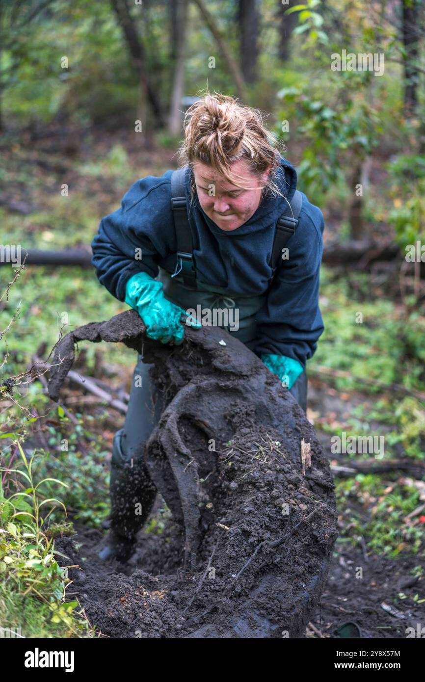 Rebecca Joyce removing tires from the marsh, Ivanhoe South Nature ...