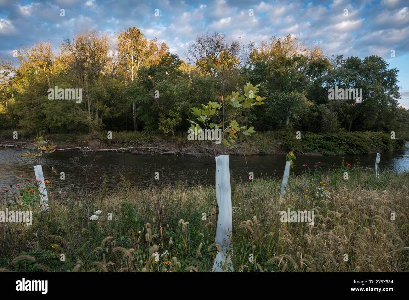 Restored riverbank, Cuyahoga River, Valley View, Ohio Stock Photo - Alamy