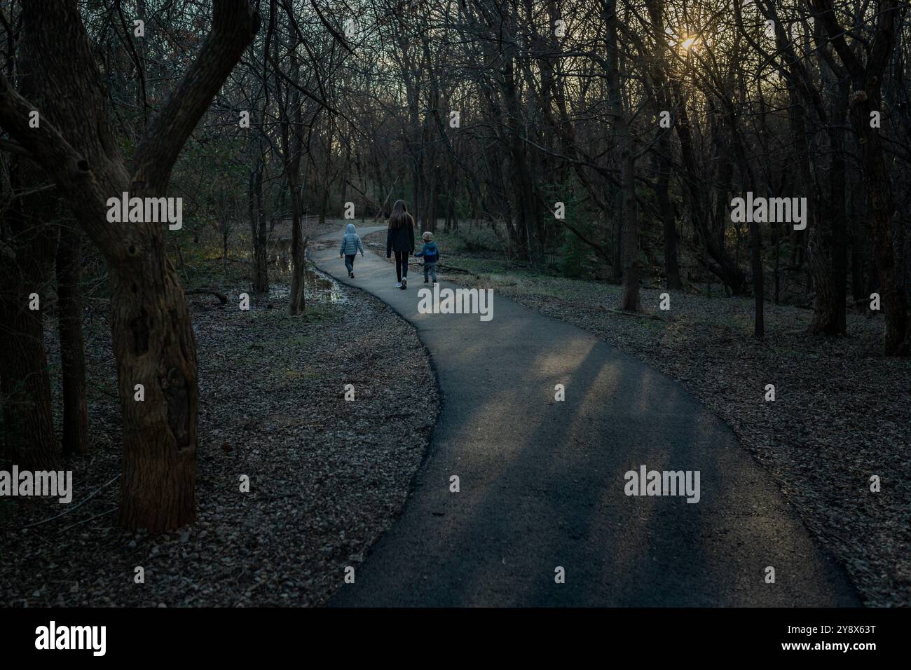 Three children walk down a forest path at sunset in a peaceful setting ...