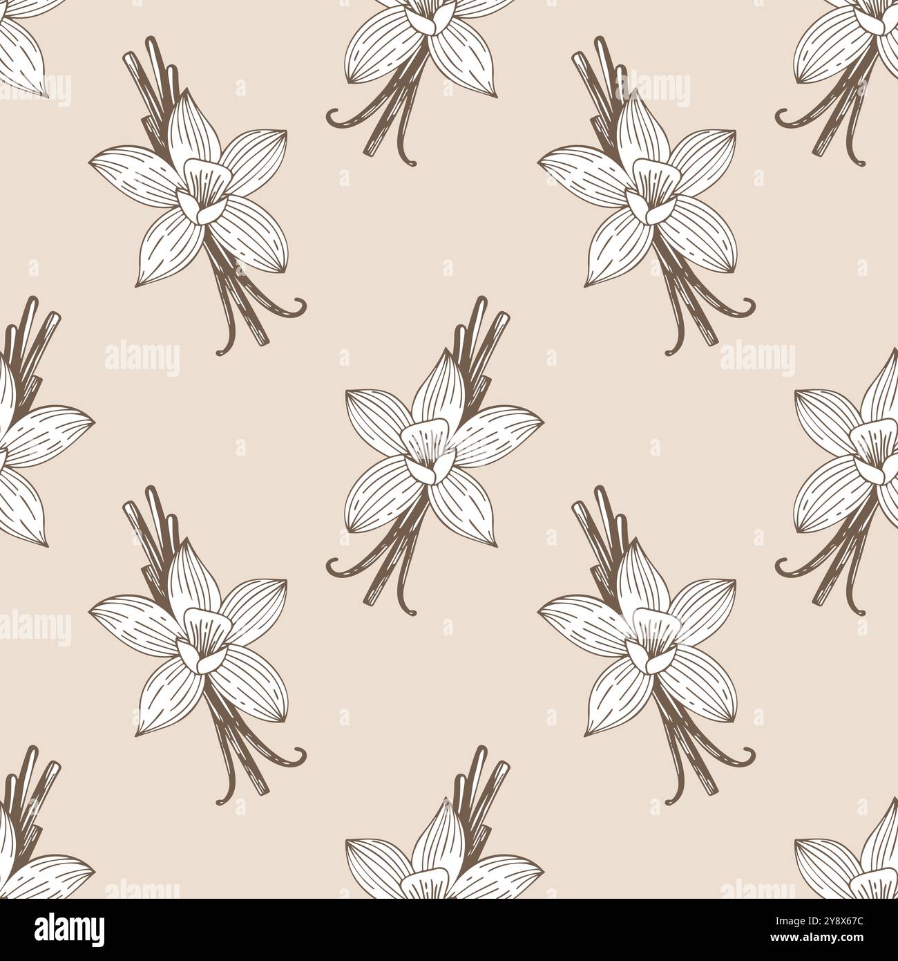 Spice aromatic pattern with vanilla flowers and pods on light pink ...