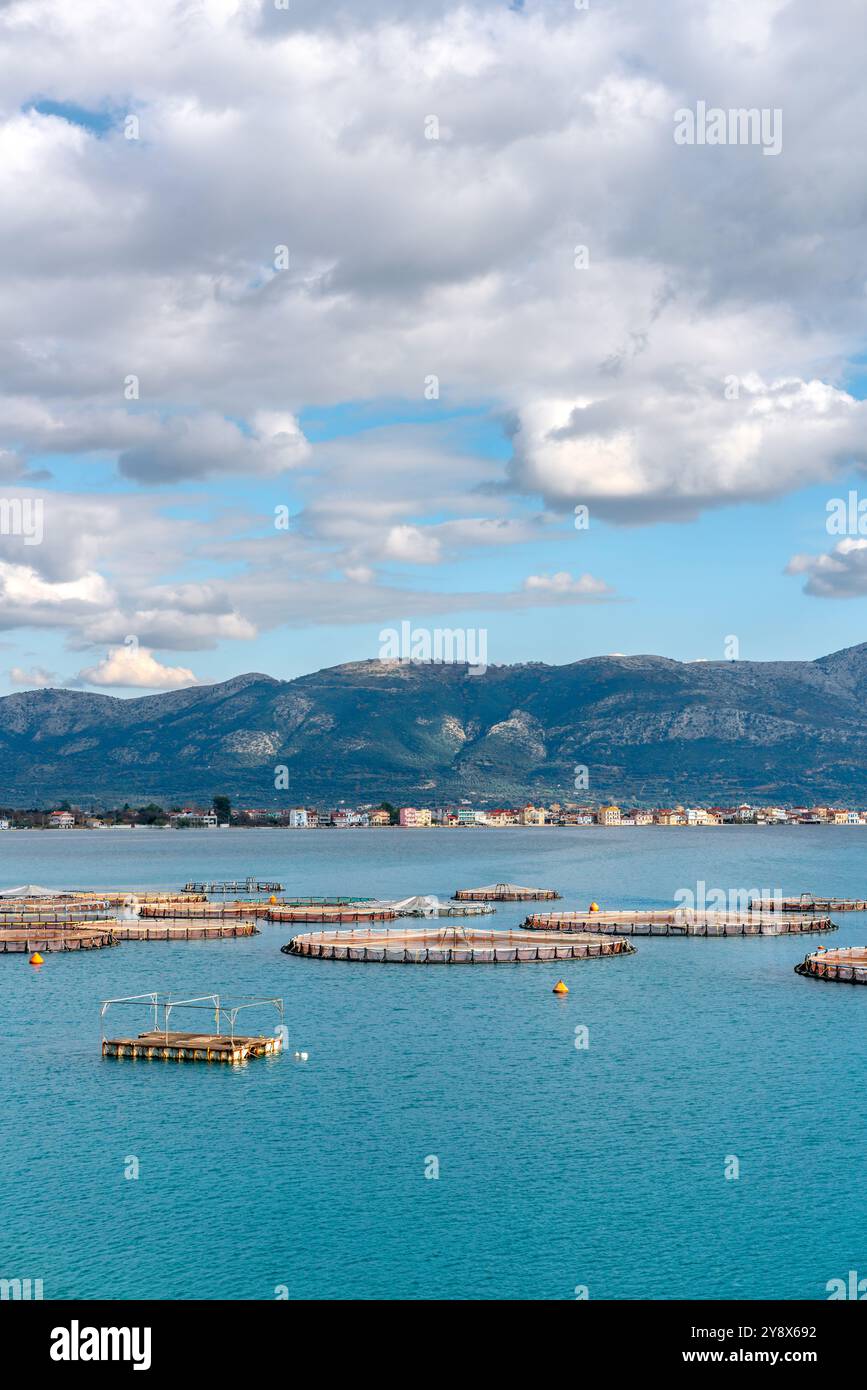 Circular fish farms hi-res stock photography and images - Alamy